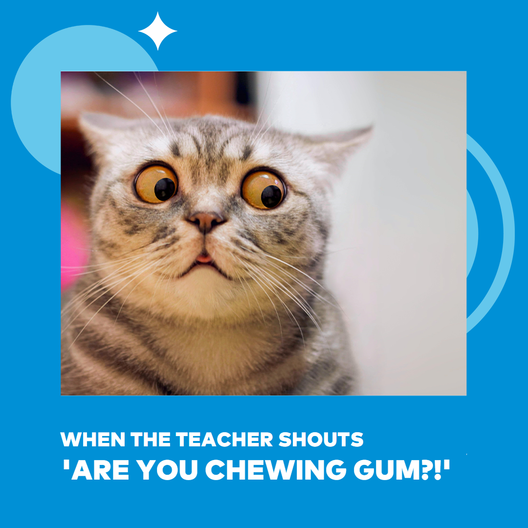 EXTRA® Gum Official Website | Product Information